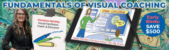 Visual Coaching Training: In-Person and Online Applications